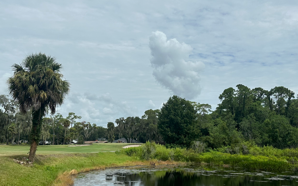 Course Information - Mayfair Country Club